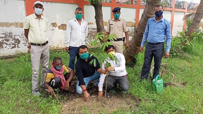 पौधे के बिना मानव जीवन की कल्पना नहीं - Canchar(39)t imagine human life ...