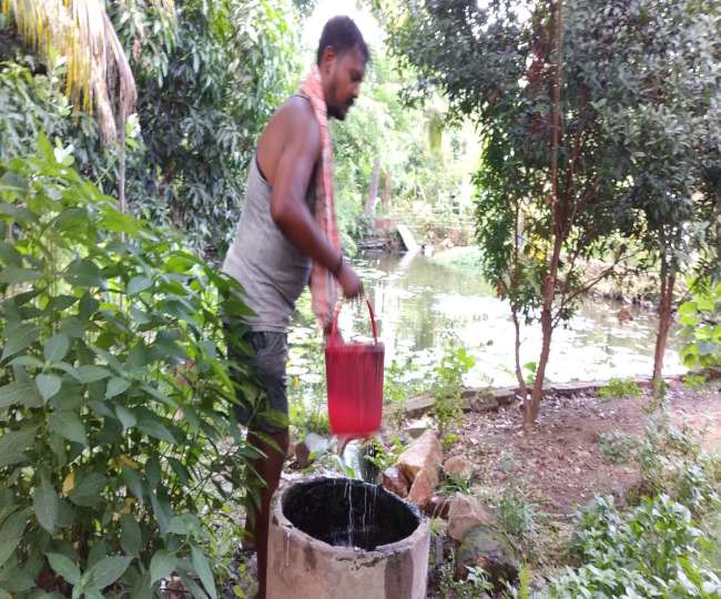 World Enviornment Day 2021: जमशेदपुर के गोलुमरी के अशोक को पौधे लगाने ...