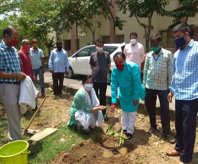 World Environment Day: मंत्री धन सिंह रावत बोले, वृक्षों से मित्रता ...