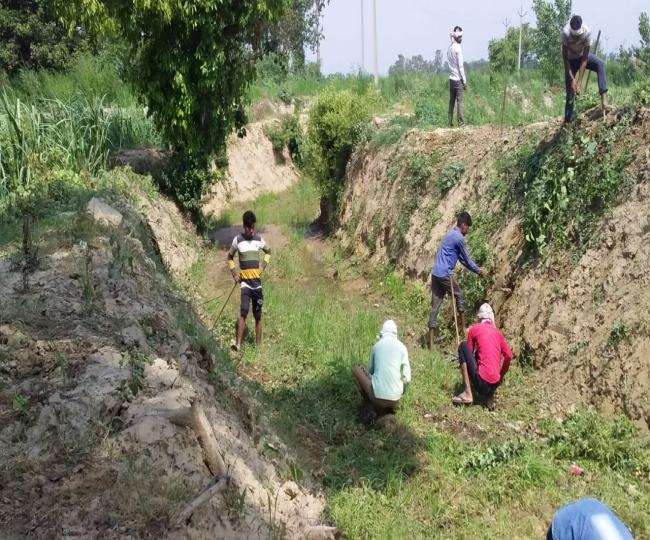 Neem River Campaign: मुख्य विकास अधिकारी ने लिया तैयारियों का जायजा ...