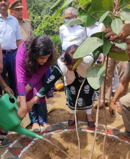 पर्यावरण बचाने को बढ़ाया कदम जिलेभर में पौधारोपण - World Environment ...