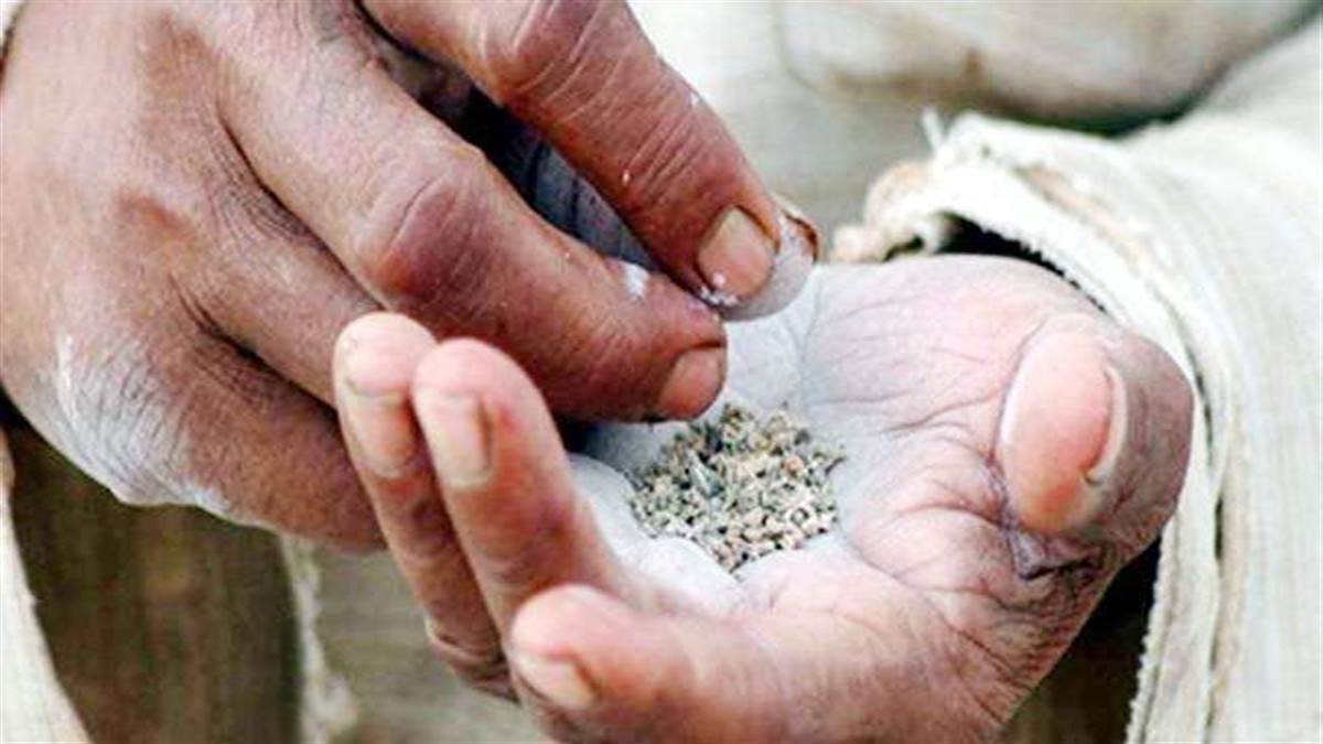 दिल को भी बीमार कर रही खैनी, दिन में तीन बार खाने वाले को कितना है ...