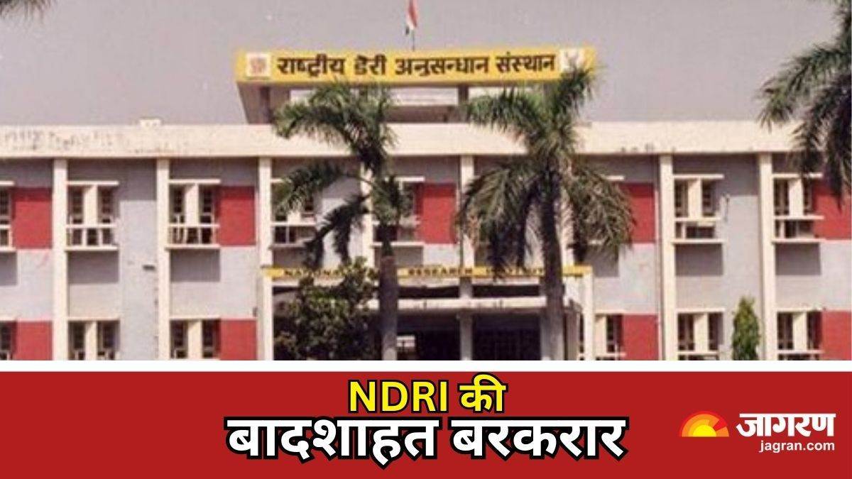 NIRF Ranking में हरियाणा के नेशनल डेयरी रिसर्च इंस्टीट्यूट का डंका ...