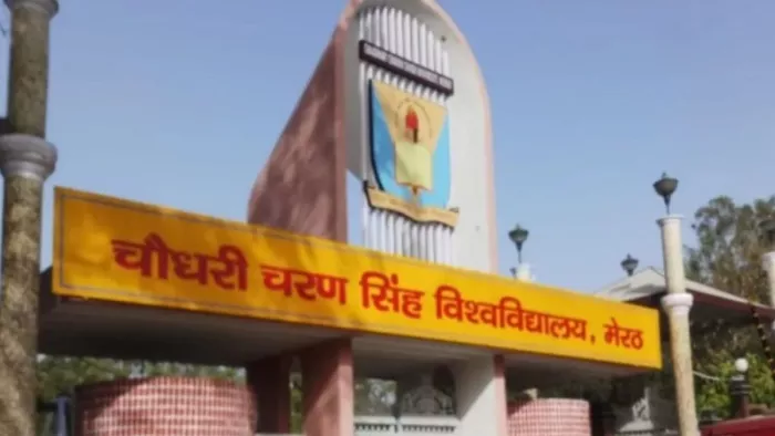 Meerut: बीएड प्रवेश परीक्षा में सावधानी से हल करें सवाल, वरना कटेंगे एक ...