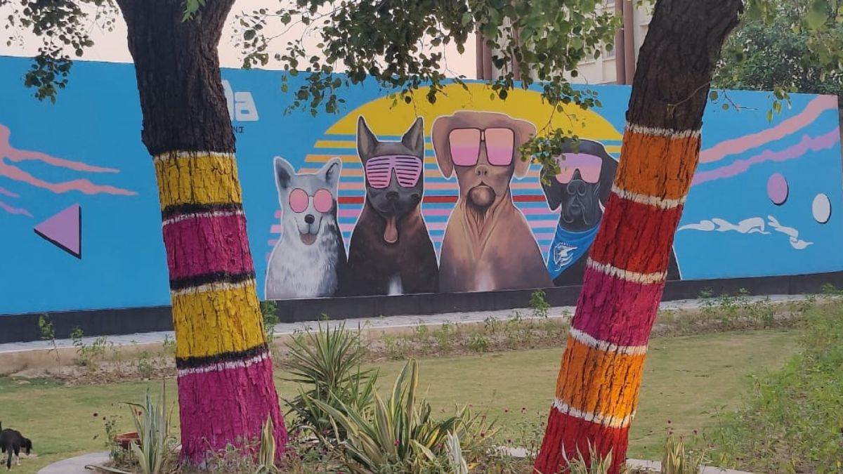 Noida Dog Park: नोएडा में खुला देश का सबसे बड़ा डॉग पार्क, क्लीनिक, पूल ...
