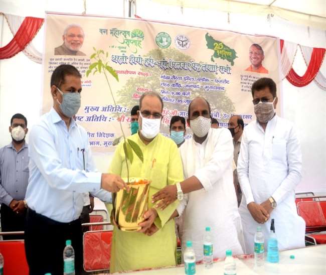 Plantation in Moradabad Division : टूटा पौधारोपण का रिकार्ड, मंत्री ...