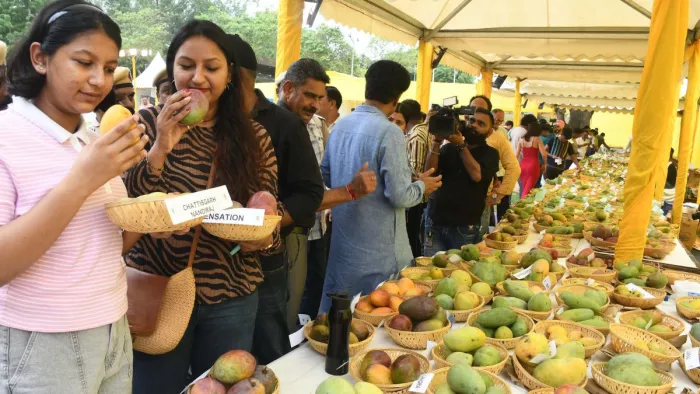 अब आम के बागों में भी होगा Operation Sindoor, आम महोत्सव में NDMC ने ...