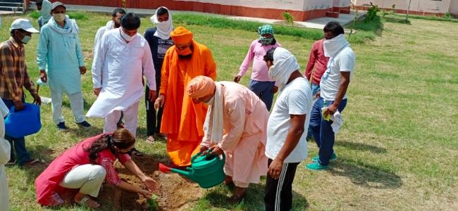 भारतीय संस्कृति में पेड़ पौधों का विशेष महत्व : डा. वधवा - Special ...