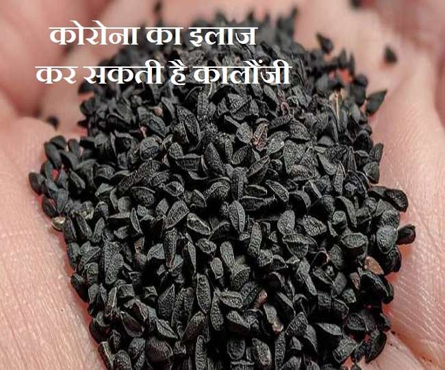 Kalonji and Covid-19: कलौंजी कोविड-19 संक्रमण के इलाज में मदद कर सकती ...