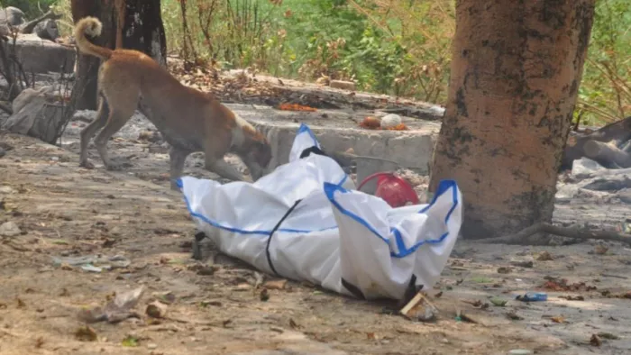 नवजात का शव जबड़े में दबाकर घूम रहा था कुत्ता, कॉल मिलते ही हरकत में आई ...