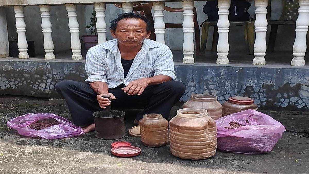 जड़ी-बूटी से असाध्य रोगों को मिटा रहे मिरिक के धनबहादुर राई, उपचार को ...