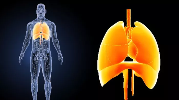 TB Free Campaign: टीबी से मुक्ति के लिए लोगों ने बढ़ाया हाथ, 2.40 लाख ...