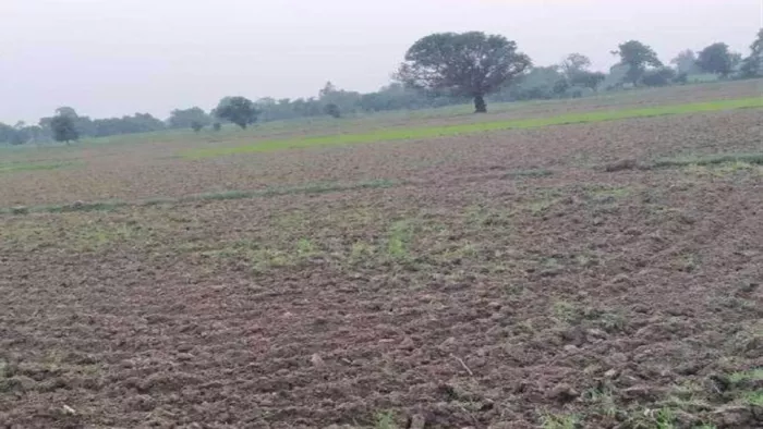 UP Chakbandi: इस वजह से चकबंदी प्रक्रिया से बाहर हुआ था यूपी का यह गांव ...