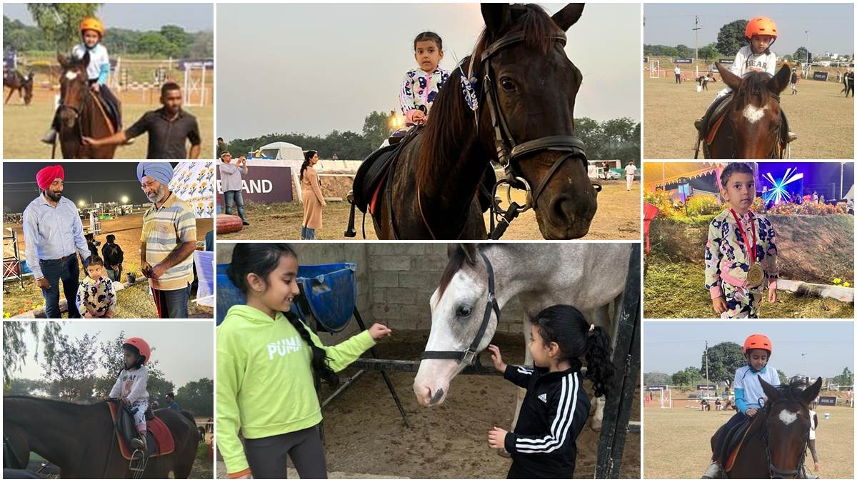 चंडीगढ़ हार्स शो: मोहाली की 3.5 साल की समरीन, घोड़े पर बैठ हवा से करती ...