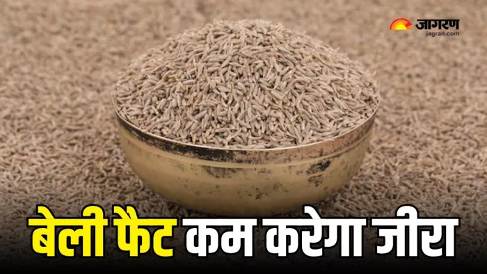 अब जीरा तेजी से पिघलाएंगा आपके पेट की जिद्दी चर्बी, बस इस तरह करें डाइट ...