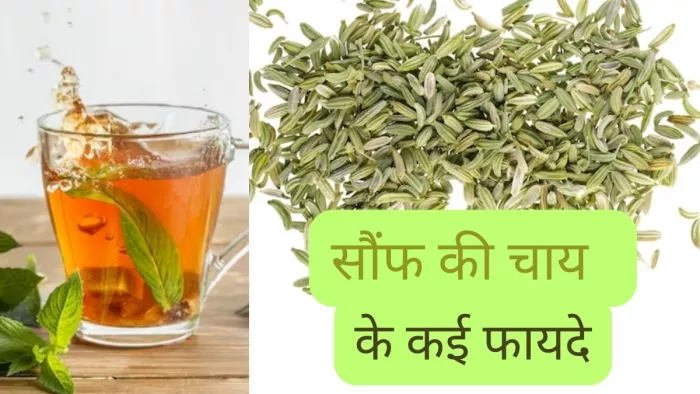 Fennel Tea Benefits: सौंफ की चाय पिएंगे, तो वजन होगा कम, आंखों में ...