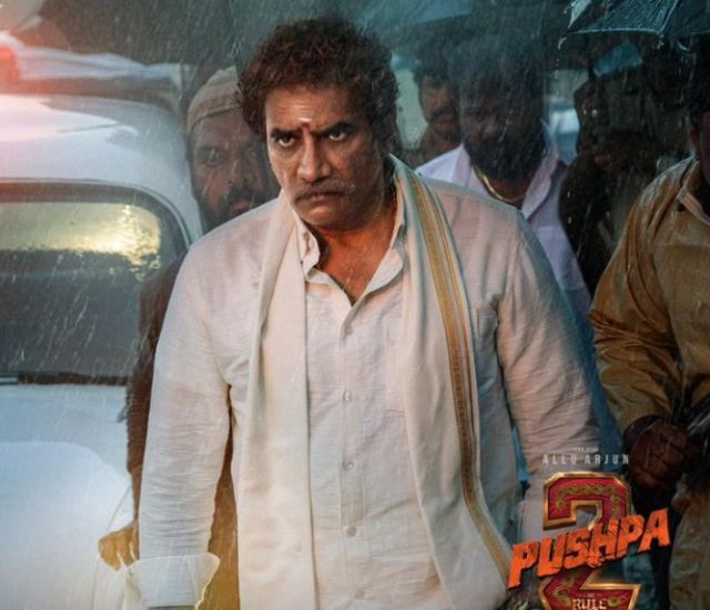 Pushpa 2 Cast: सिर्फ 'पुष्पाराज-श्रीवल्ली' नहीं, फिल्म के ये साइड ...