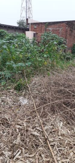 शिकायत गड़ही की और निस्तारण रिपोर्ट खड़ंजा का - There was a complaint ...