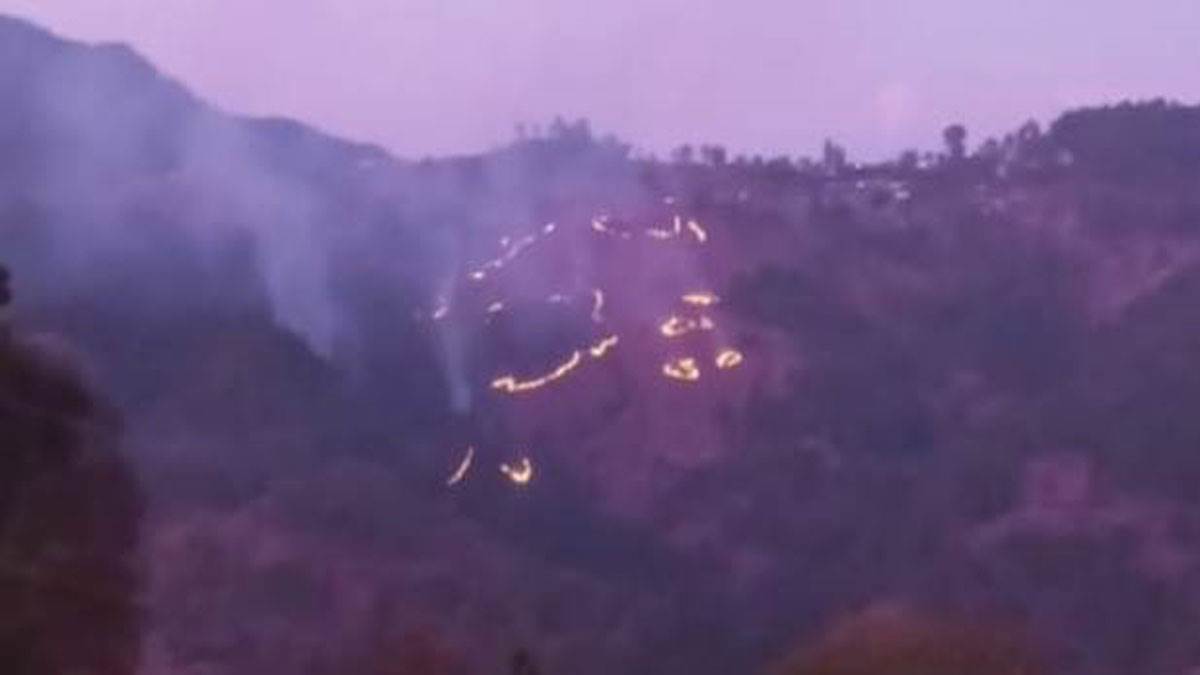 Forest Fire In Uttarakhand Forest Fire In Uttarakhand