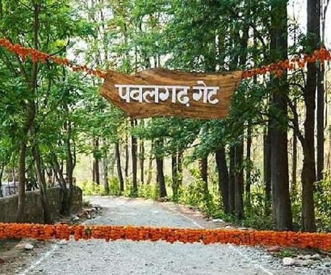 पवलगढ़ कंजर्वेशन रिजर्व में परिंदों के संसार से रूबरू होंगे पक्षी ...