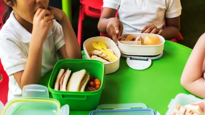 Plastic Lunch Box में भूलकर मत दीजिए अपने बच्चों को खाना, पढ़ लिए ...