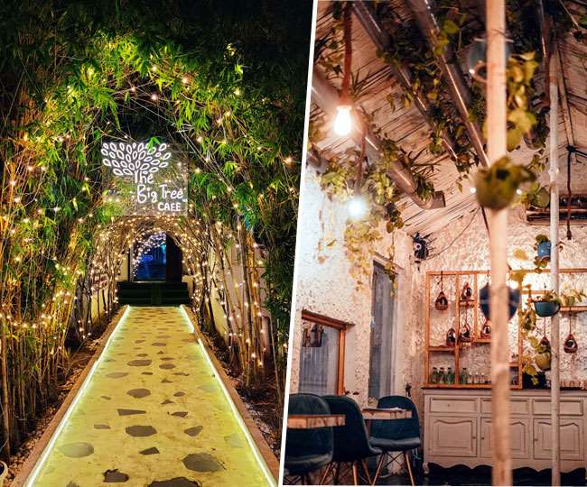 पर्यावरण बचाने के लिए बनाया ‘बिग ट्री’, पार्टी से पहले एक पौधा लगा लिया ...