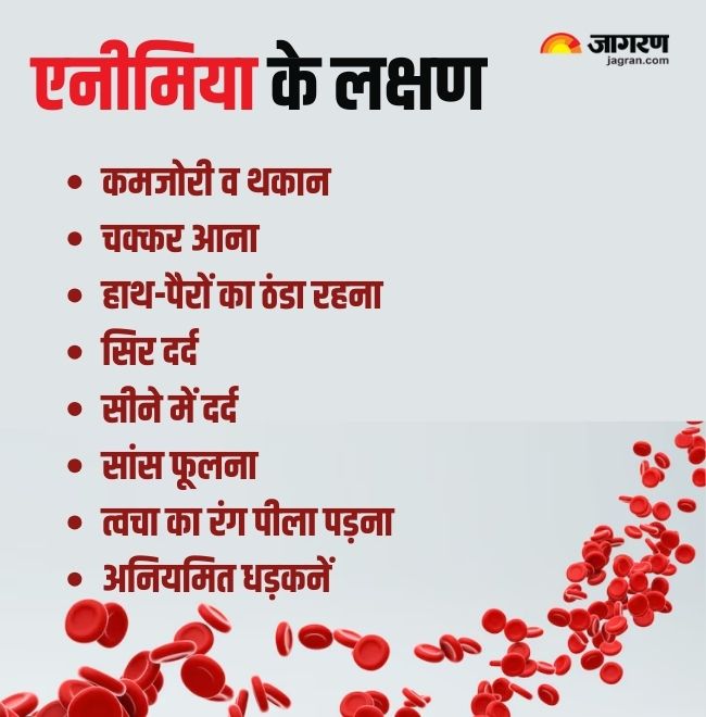 World Health Day 2024: क्यों ज्यादातर महिलाओं हो जाती है Anemia का ...