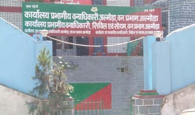 धधक रहे जंगल और डीएफओ जिले से बाहर - Burning forest and DFO on leave ...