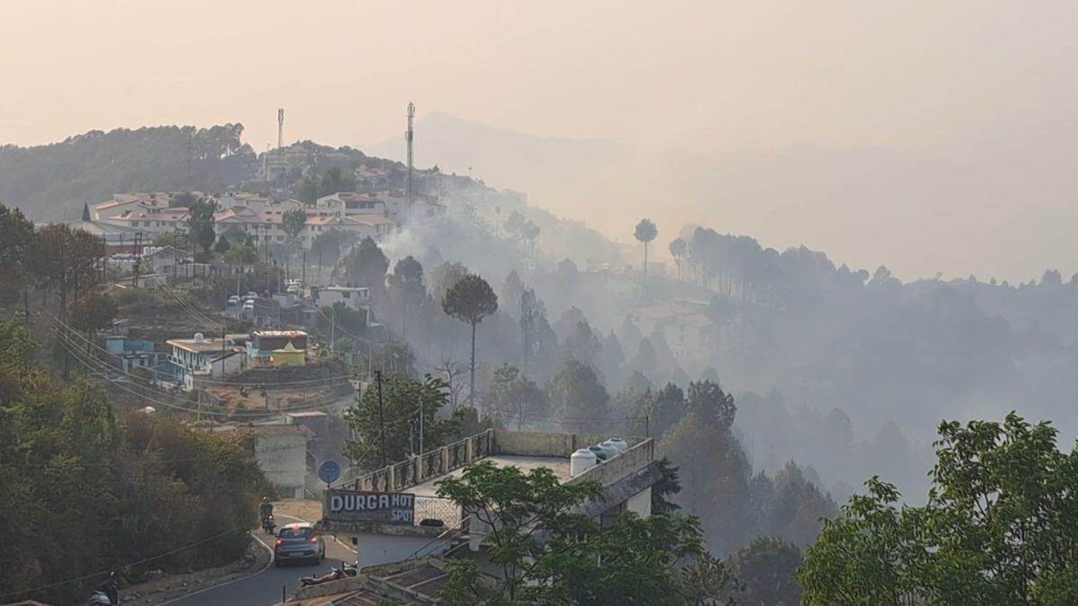 Forest Fire: उत्तराखंड में 1144 हेक्टेयर वन क्षेत्र जला, जंगल की आग हुई ...