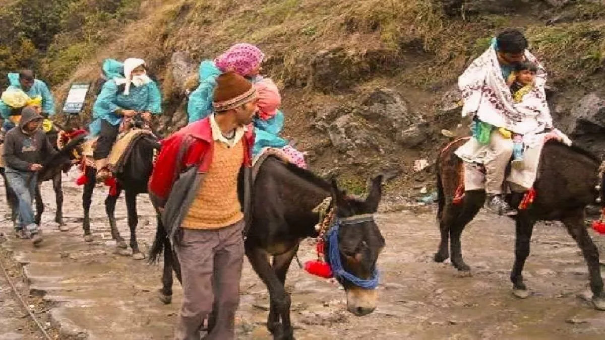 केदारनाथ यात्रा में घोड़े-खच्चरों के संचालन पर 24 घंटे की रोक, एक्वाइन ...