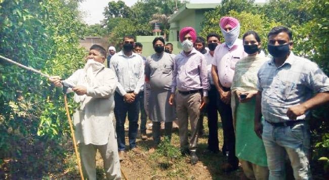 किसानों के लिए चुनौती है टिड्यिों का हमला - Agriculture department ...