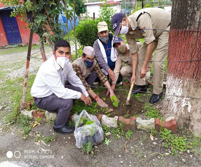 वरुणावत की तलहटी से जिले के सुदूरवर्ती गांवों तक पहुंच रहा घर-घर गिलोय ...