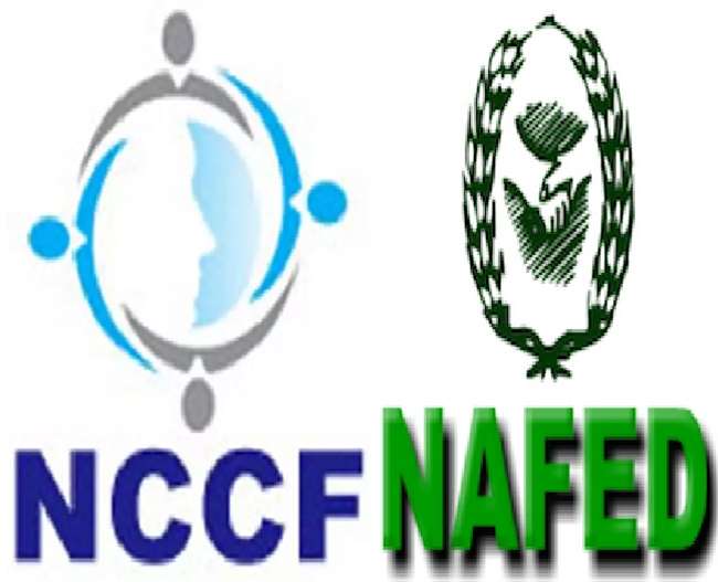 NCCF और NAFED के मंडल प्रभारियों पर मुकदमा, जानिए-क्या है कानपुर का ये ...
