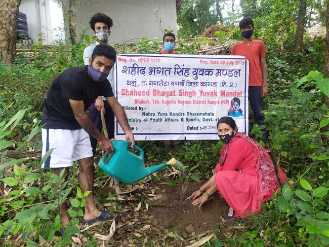 धलूं पंचायत में युवक मंडल के सहयोग से सप्‍ताह भर किया जाएगा पौधारोपण ...