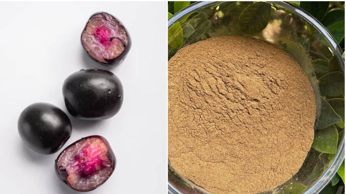Jamun Seeds Benefits: सेहत के लिए बूस्टर से कम नहीं हैं जामुन के बीज ...