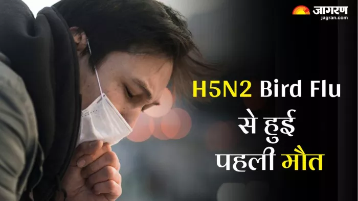 H5N2 Bird Flu से संक्रमित पहले व्यक्ति की मौत, जानें क्यों खतरनाक है यह ...