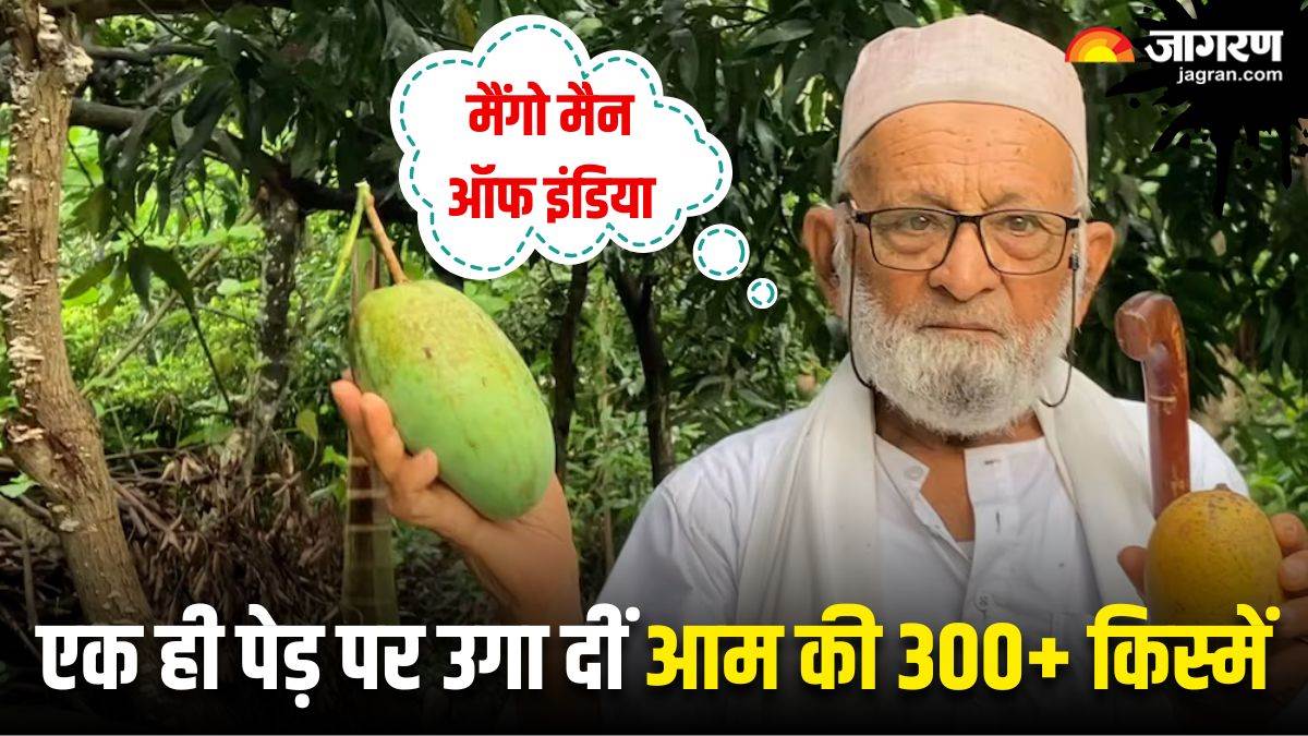 Mango Man Of India की कड़ी मशक्कत का फल है उत्तर प्रदेश का यह अनोखा ...