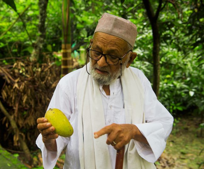 Mango Man Of India की कड़ी मशक्कत का फल है उत्तर प्रदेश का यह अनोखा ...