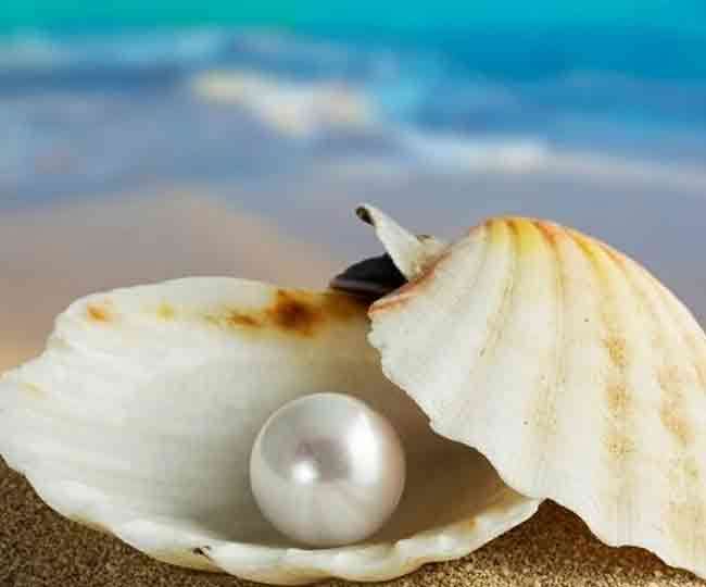 मोती रत्न किस लग्न के जातकों के लिए है लाभदायक, जानें यहां - Know Moti ...