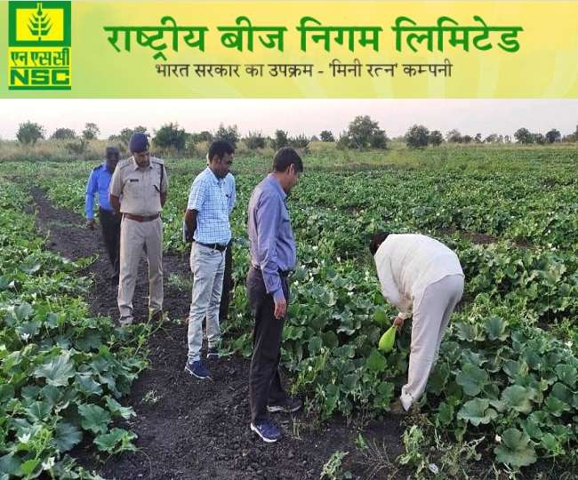 Sarkari Naukri 2020: राष्ट्रीय बीज निगम में 220 सरकारी नौकरियां, 30 ...