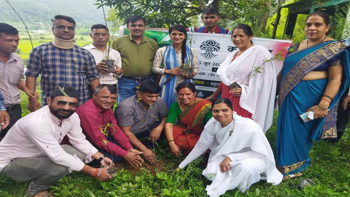 चौखुटिया में पौधारोपण कर सुरक्षा का संकल्प - Planted fruit plants took ...