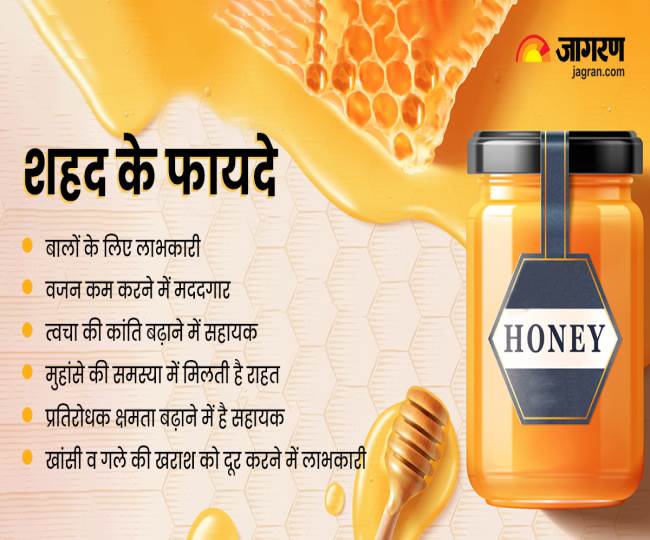 कानपुर: राष्ट्रीय शर्करा संस्थान का कमाल, ज्वार से विकसित किया शहद का ...