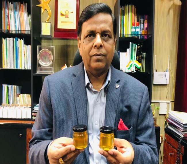 कानपुर: राष्ट्रीय शर्करा संस्थान का कमाल, ज्वार से विकसित किया शहद का ...