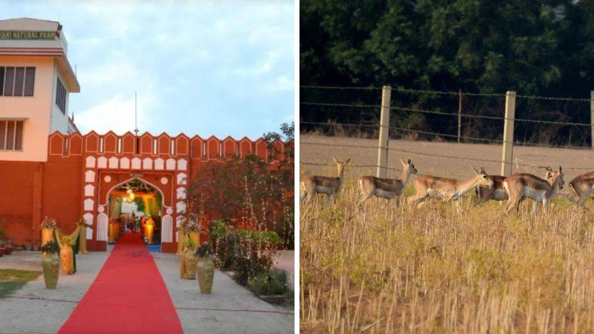 एक कोना राजस्थान तो दूसरा हरियाणा, बेहद अनोखा है पंजाब में बसा अबाेहर ...