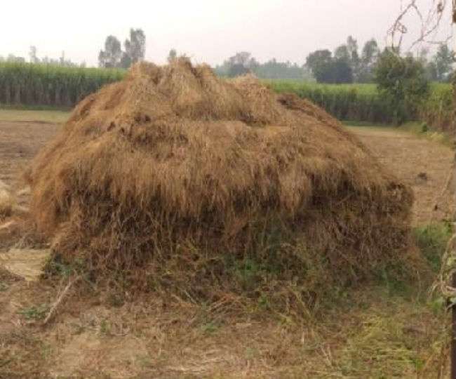 बर्बादी नहीं, खुशहाली लाती है यहां पराली; पैकिंग व मशरूम उत्‍पादन सहित ...