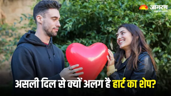 Heart Shape Origin: कहां से आया हार्ट का शेप और इंसानी दिल जैसा क्यों ...