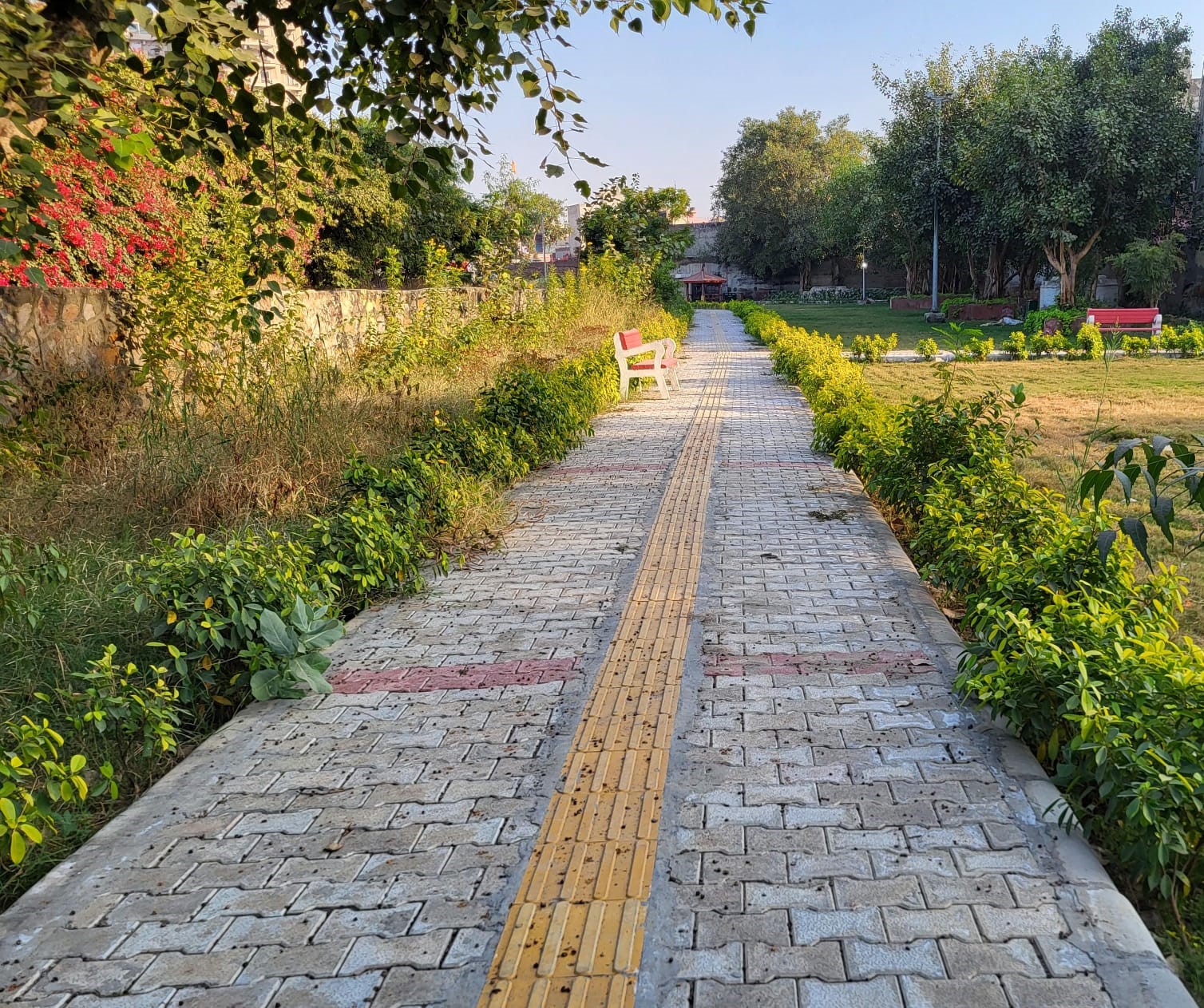 खास सुविधाओं से लैस दिल्ली का पहला दिव्यांग पार्क बनकर तैयार, इस तारीख ...