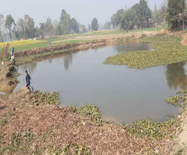7703 में 7601 तालाब व झील अतिक्रमण मुक्त 102 पर कब्जा बरकरार Gorakhpur ...