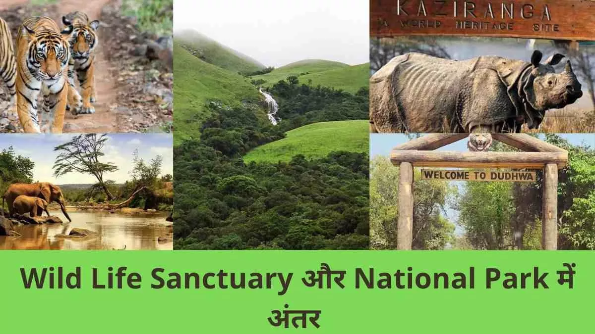 National Park और Wildlife Sanctuary में जानें क्या होता है अंतर - Know ... National Park और Wildlife Sanctuary में जानें क्या होता है अंतर - Know ...