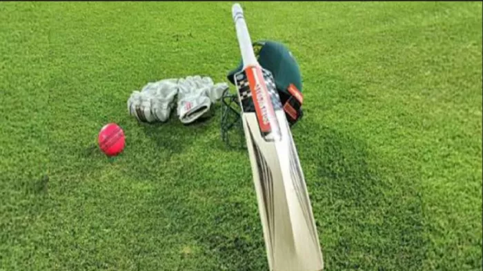 Cricket Player Death: बल्ले से सिर पर किया वार, क्रिकेट मैच हारने पर ...